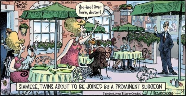 31 Grammar Comics for Punctuation Purists