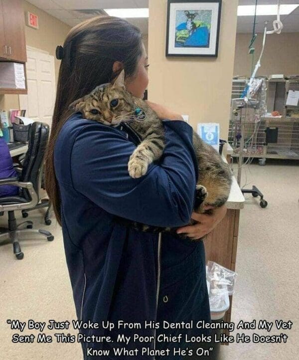 Is My Pet Broken? 39 Hilarious Photos That Perfectly Capture the Weird ...