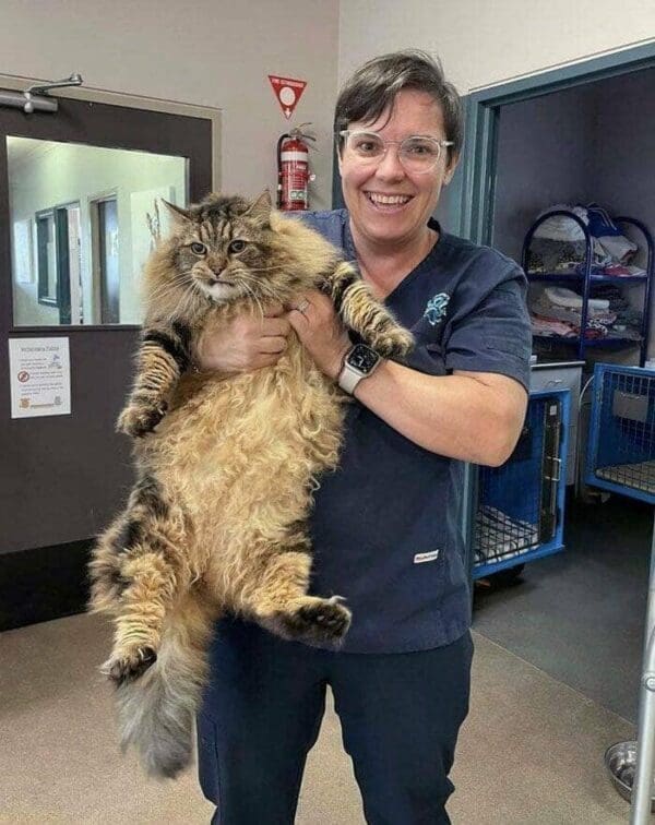 Is My Pet Broken? 39 Hilarious Photos That Perfectly Capture the Weird ...