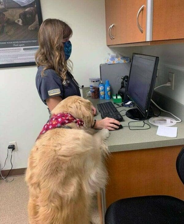 Is My Pet Broken? 39 Hilarious Photos That Perfectly Capture the Weird ...