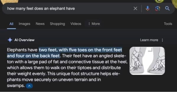 Google AI Search Memes: 23 Outrageous Answers from Overview