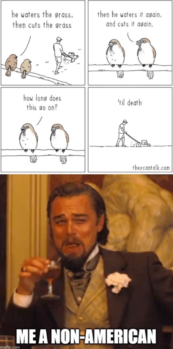 21 HOA Memes That Perfectly Capture the Soul-Crushing Grip of Your ...