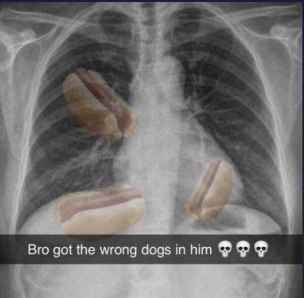 49 Hot Dog Memes That Are the Wurst