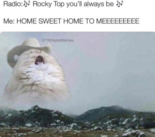 Southern Memes: 50 Memes With Southern Charm