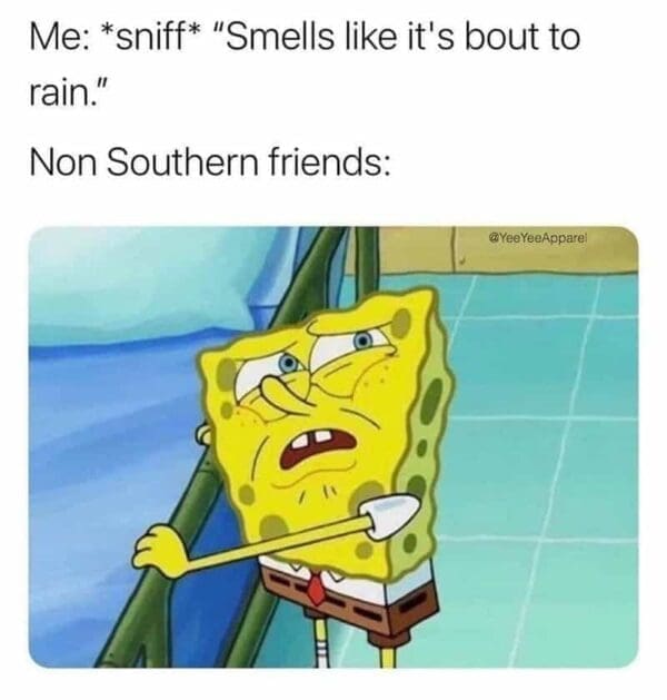 Southern Memes: 50 Memes With Southern Charm