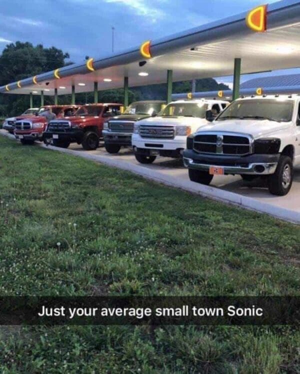 Southern Memes: 50 Memes With Southern Charm