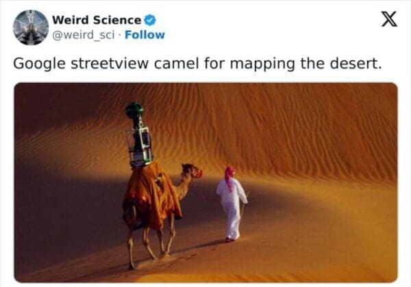 40 Weird Science Facts That Will Make You Question Everything You ...