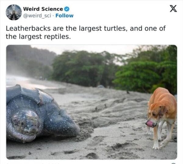 40 Weird Science Facts That Will Make You Question Everything You ...