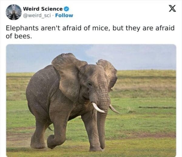 40 Weird Science Facts That Will Make You Question Everything You ...