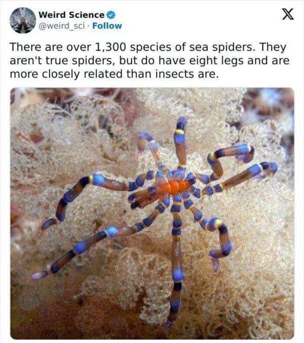 40 Weird Science Facts That Will Make You Question Everything You ...