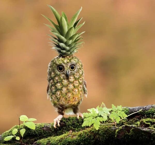 37 Funny Animal Hybrid Mashups You Wish Were Real