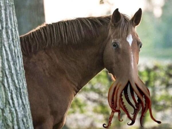 37 Funny Animal Hybrid Mashups You Wish Were Real