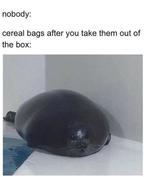 Breakfast Memes: 24 Memes For A Hearty Brekky
