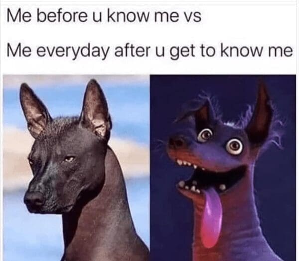 45 Female Memes Highlighting the Humor of Womanhood