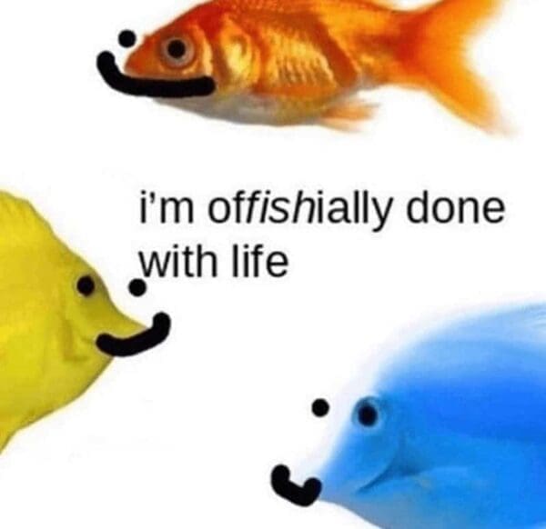 Fishing Memes: 40 Memes to Reel in the Laughs This Summer