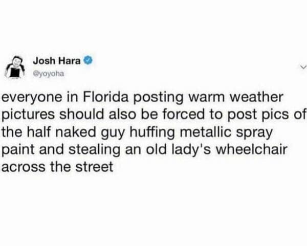 40 Funny Florida Memes That Perfectly Capture Life in the Sunshine State