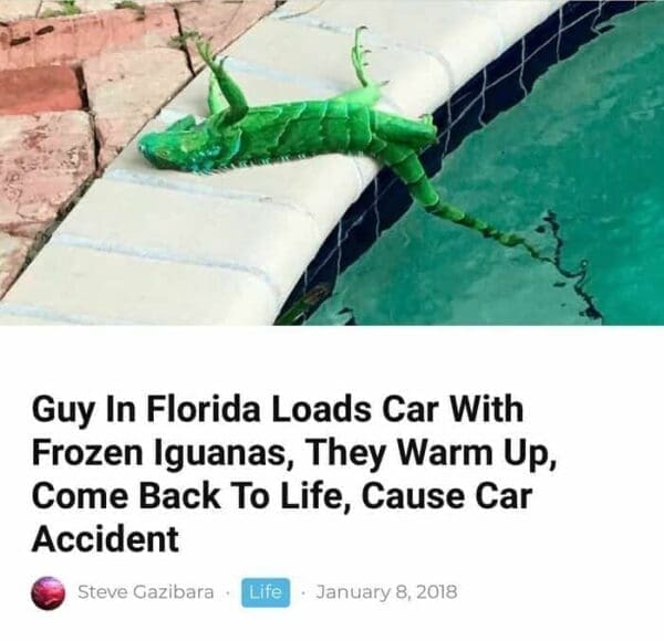 40 Funny Florida Memes That Perfectly Capture Life in the Sunshine State