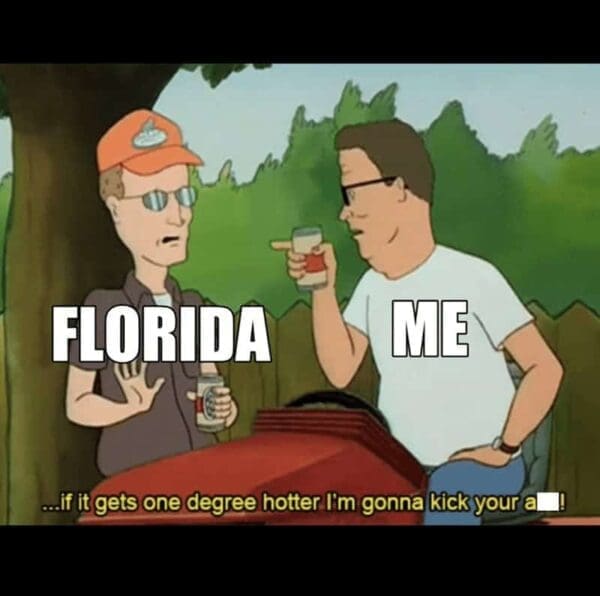 40 Funny Florida Memes That Perfectly Capture Life in the Sunshine State