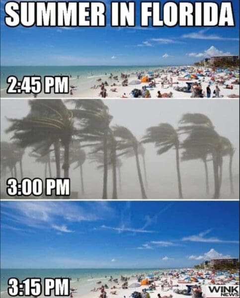 40 Funny Florida Memes That Perfectly Capture Life in the Sunshine State