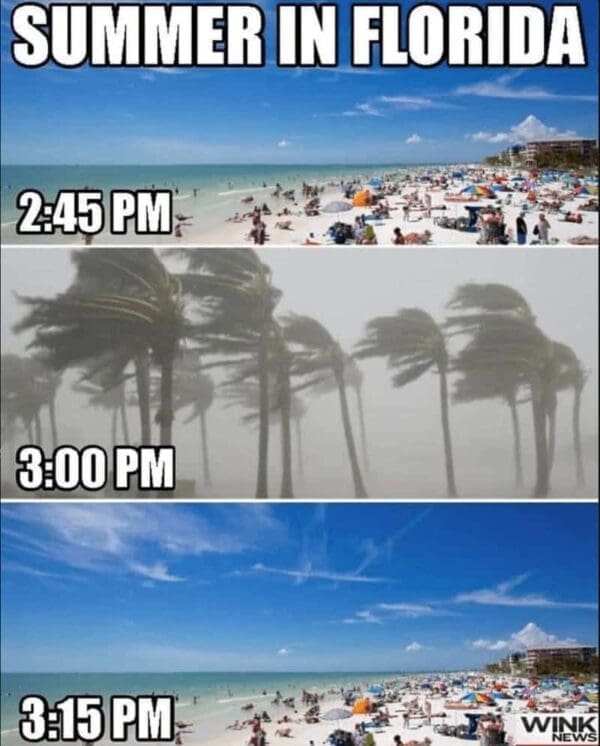 40 Funny Florida Memes That Perfectly Capture Life in the Sunshine State
