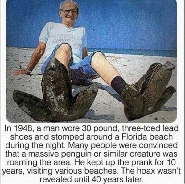 40 Funny Florida Memes That Perfectly Capture Life in the Sunshine State