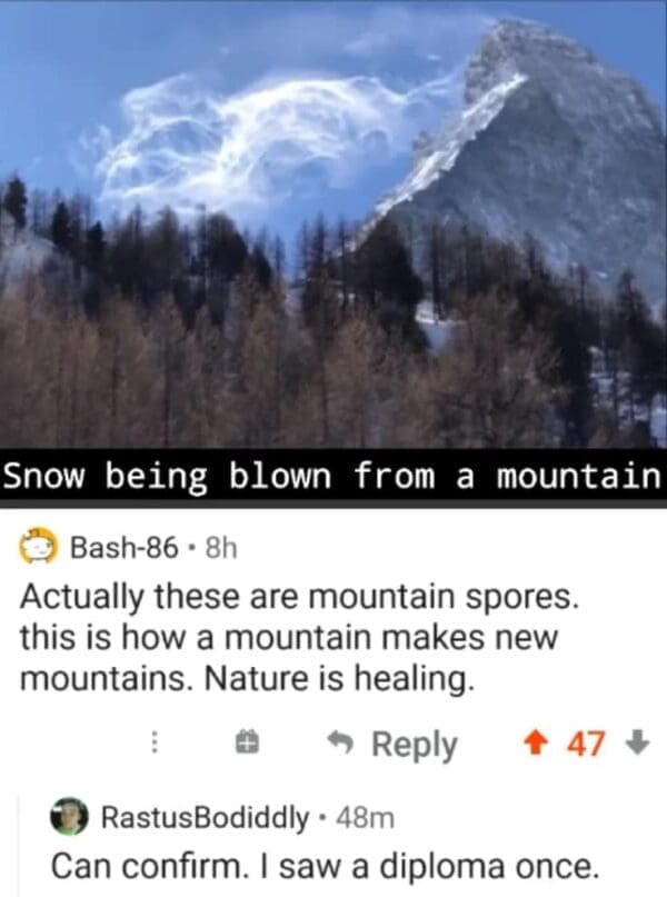 33 All-Time Funniest Reddit Comments You Need to See
