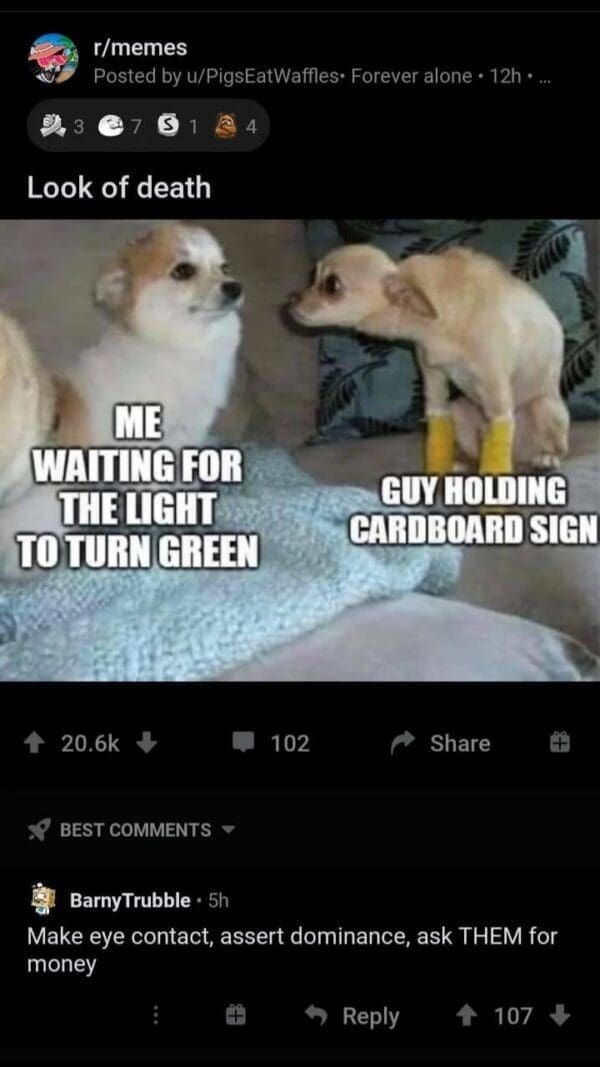 33 All-Time Funniest Reddit Comments You Need to See