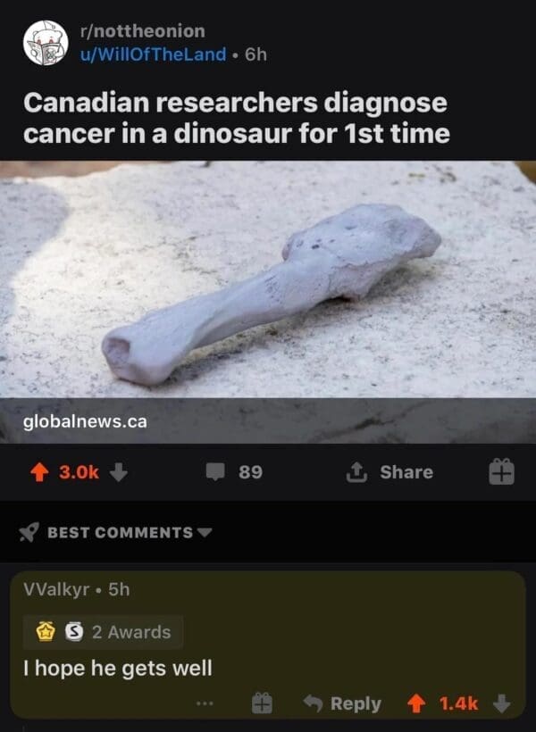 33 All-Time Funniest Reddit Comments You Need to See