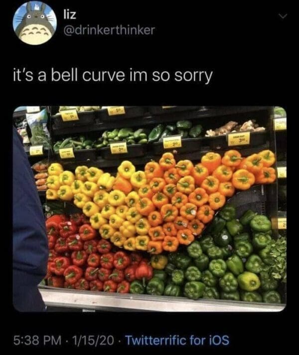 40 Funny Pun Memes That Are Hilariously Dumb