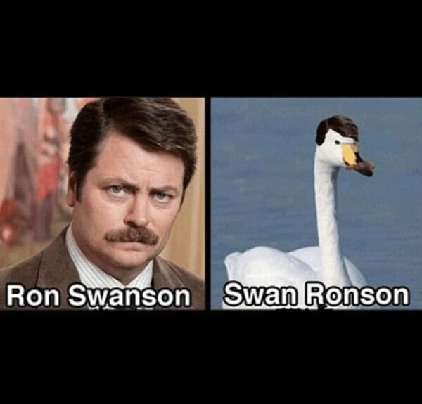32 Funny Real Names That Will Make You Feel Better About Your Own