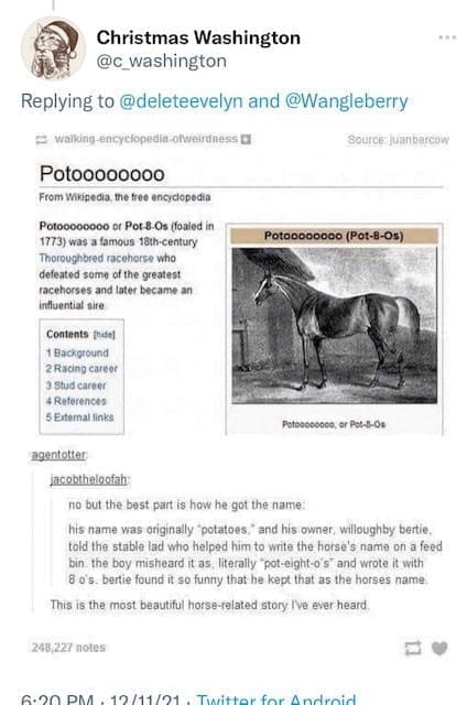 32 Funny Real Names That Will Make You Feel Better About Your Own