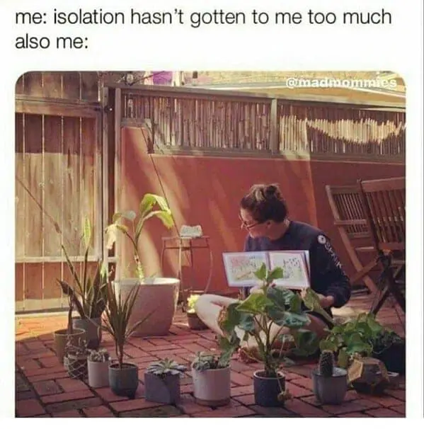 Gardening Memes: 40 Memes Every Plant Lover Will Enjoy