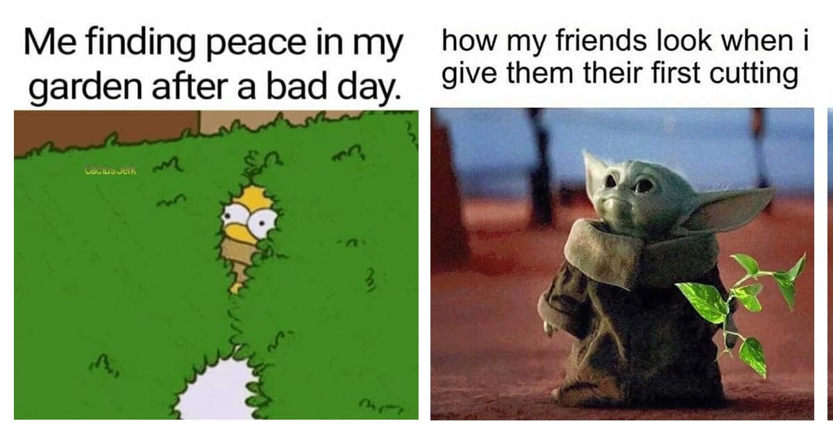 Gardening Memes: 40 Memes Every Plant Lover Will Enjoy