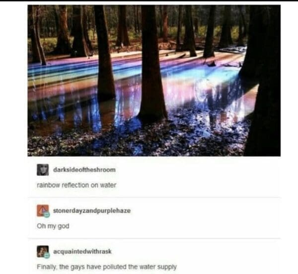 45 Hilarious LGBTQ+ Memes to Celebrate Pride