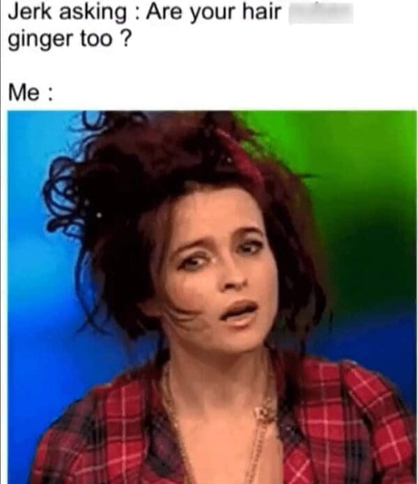 35 Redhead Memes That Prove Gingers Have More Fun