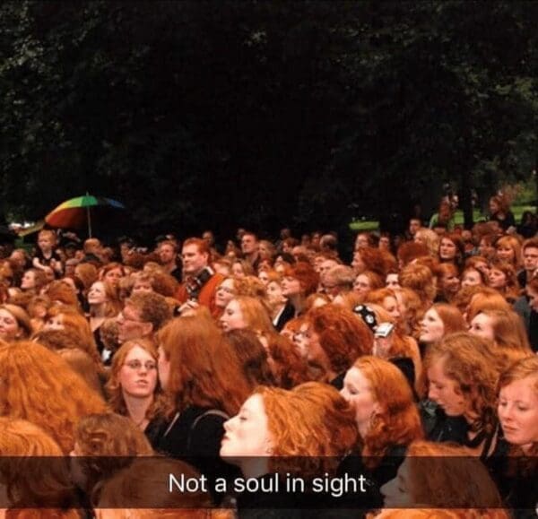 35 Redhead Memes That Prove Gingers Have More Fun