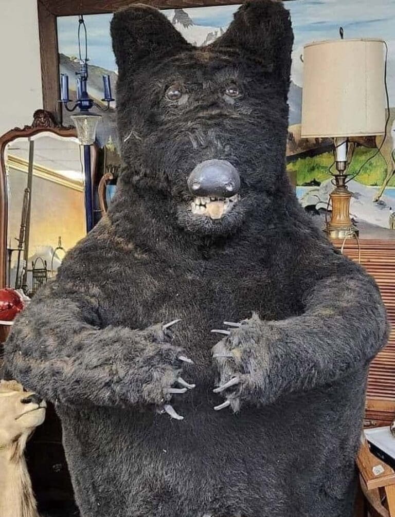 Stuff Your Nightmares: 38 Taxidermy Fails That Are More Horror Than Hobby