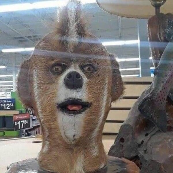 Stuff Your Nightmares: 38 Taxidermy Fails That Are More Horror Than Hobby