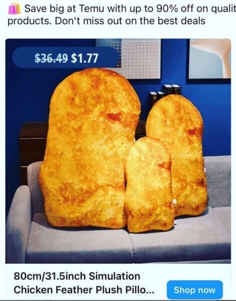 Temu Memes: 35 Gems From The WORST Marketplace