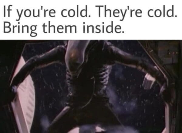 40 Xenomorph Memes That Will Make You Want To Rewatch the Alien Movies
