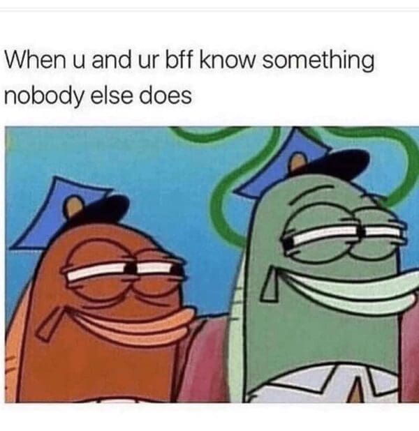 Friendship Memes: 35 BFF Memes for the Ladies