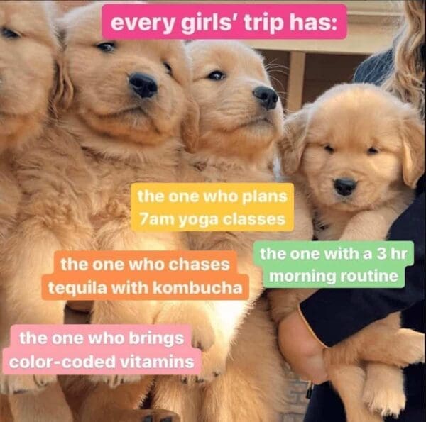 Friendship Memes: 35 BFF Memes for the Ladies