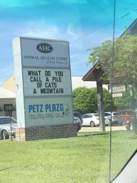 Genius Memes: Showcasing 45 Unexpectedly Brilliant Ideas