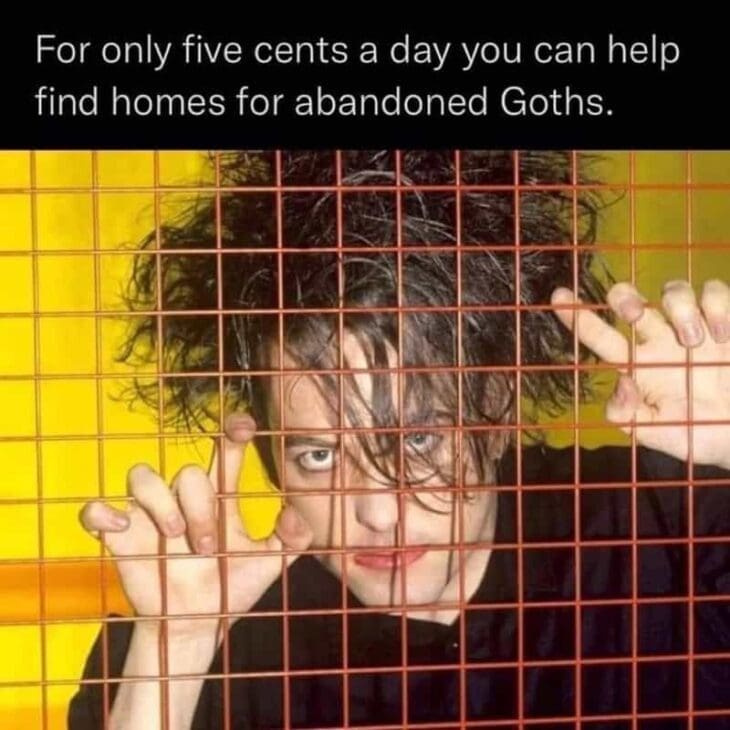 Goth Memes: 35 Memes For Everyone With a Dark Aesthetic