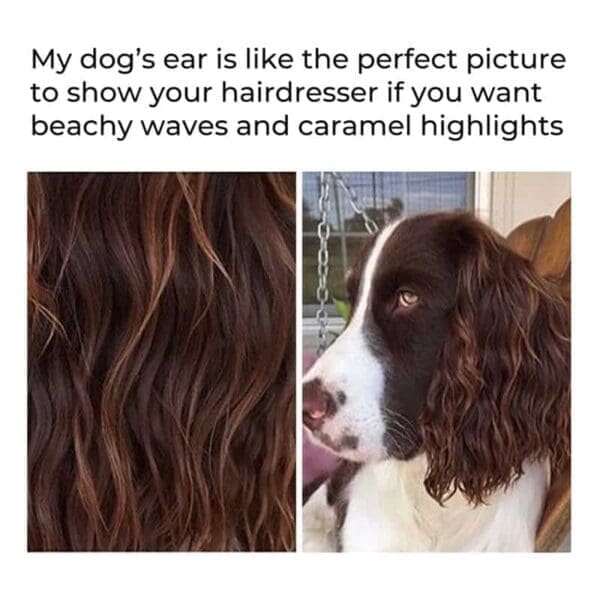 30 Hilarious Hair Care Memes for Women Battling Their Hair Daily