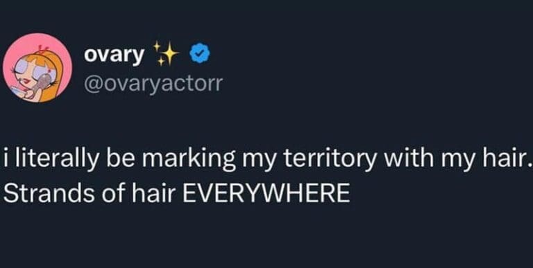 30 Hilarious Hair Care Memes for Women Battling Their Hair Daily