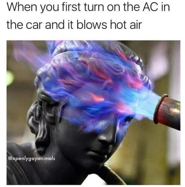27 Heatwave Memes About the Sweaty Summer Temps That Are Too Real