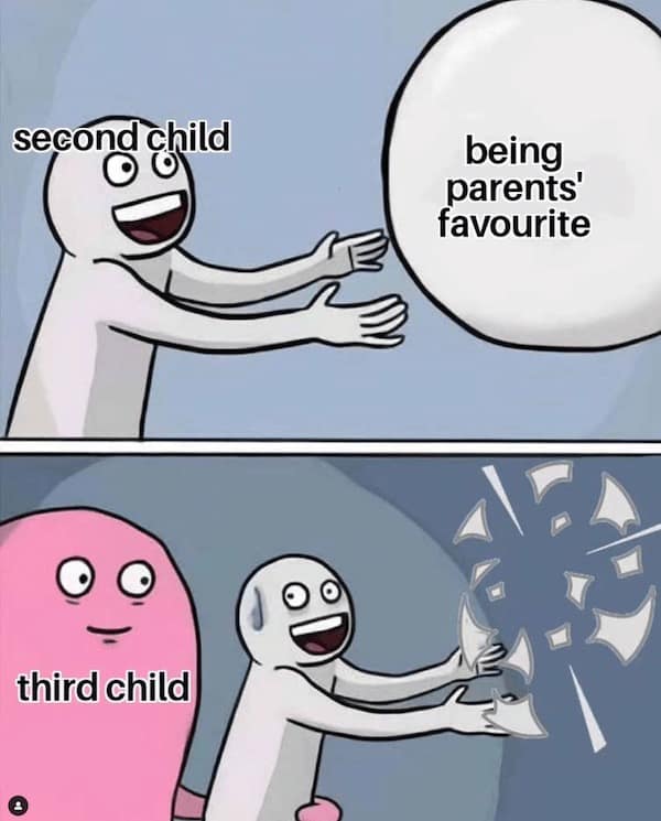 29 Middle Child Memes That Will Probably Get forgotten...like the ...