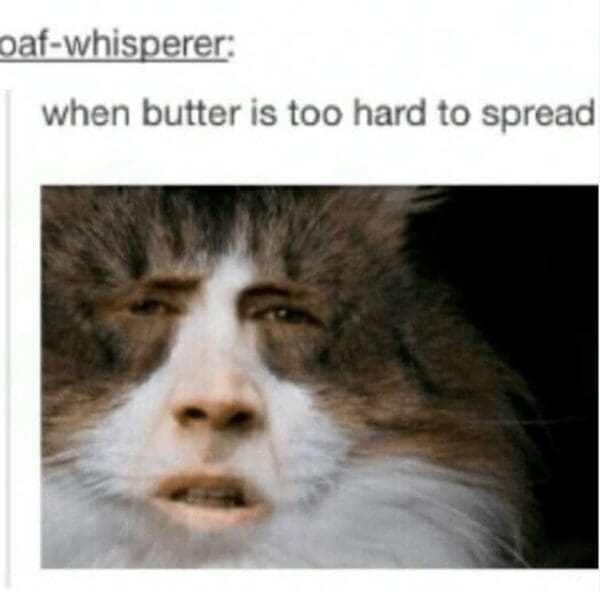 30 Nicholas Cage Memes That Will Be Gone in 60 Seconds