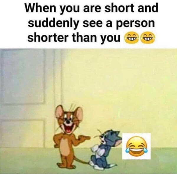 33 Short People Memes That Capture Life from a Lower Perspective